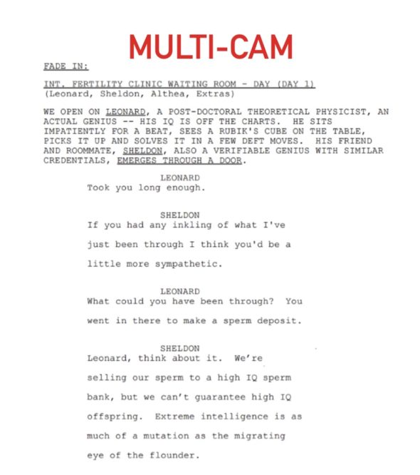 Terminology Tuesday - Single Vs. Multi-Cam - The Casting Director's Cut