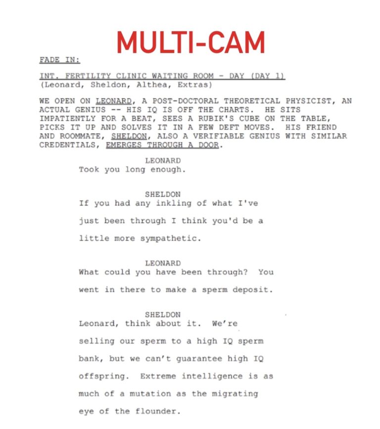 Terminology Tuesday - Single Vs. Multi-Cam - The Casting Director's Cut