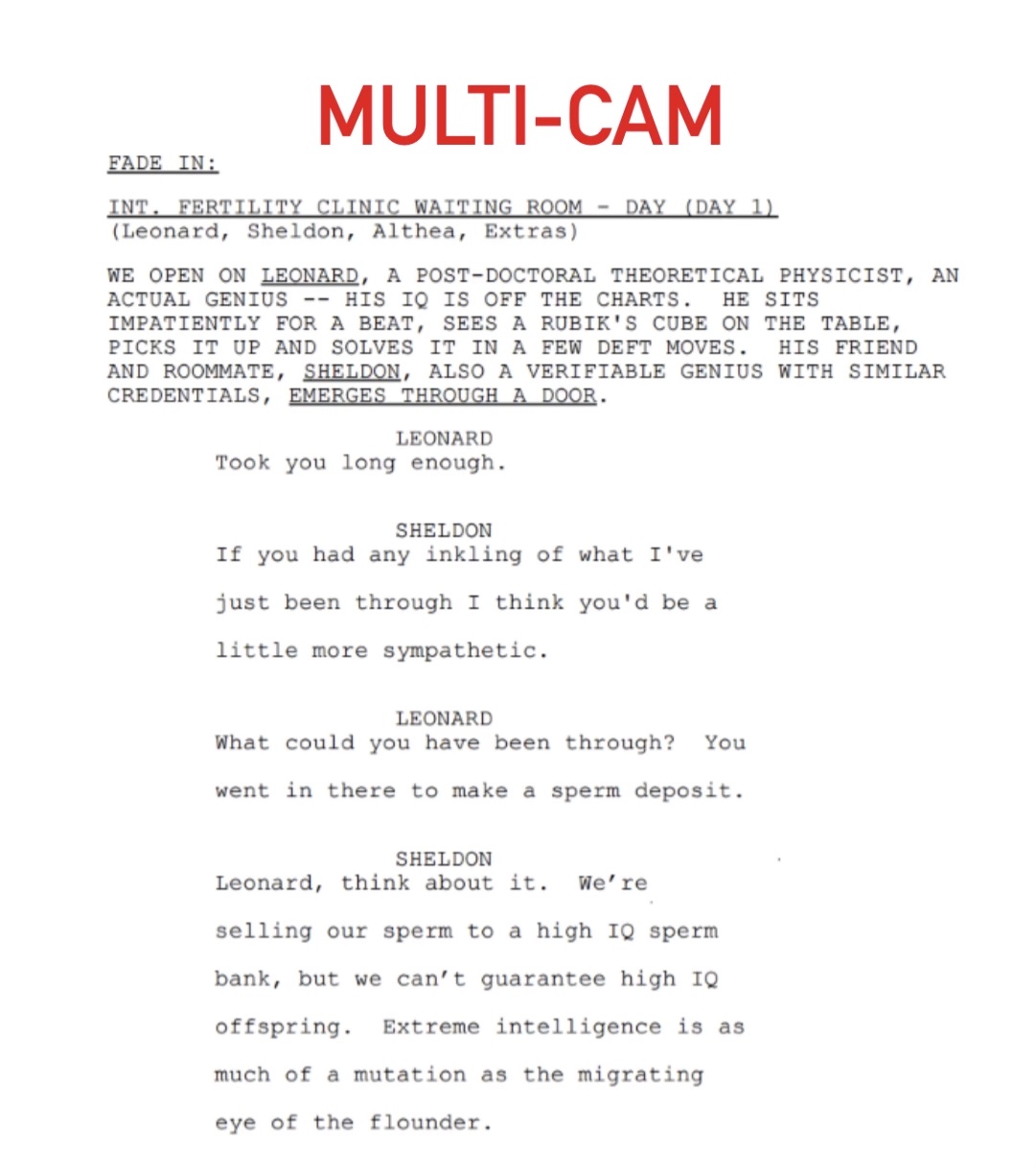 Terminology Tuesday - Single Vs. Multi-Cam - The Casting Director's Cut